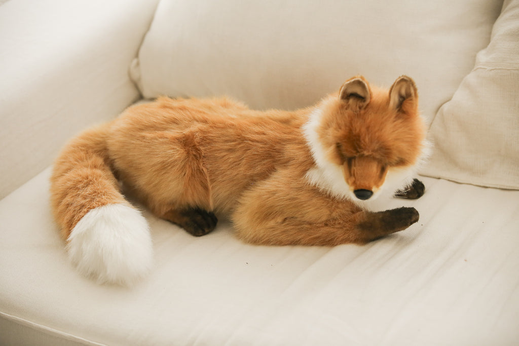 Hansa fox – mamapapa