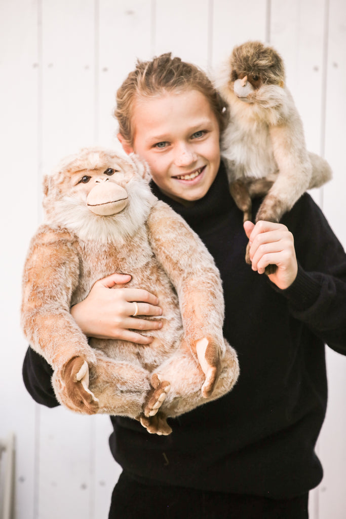 Hansa monkey family – mamapapa