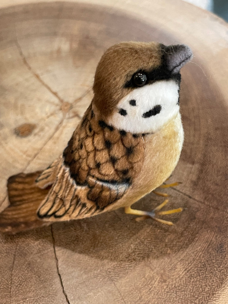 Hansa tree sparrow – mamapapa