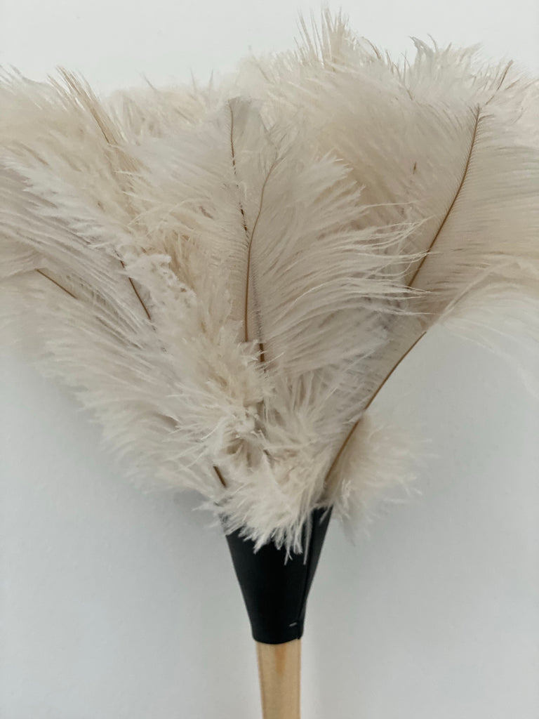 Feather duster – mamapapa