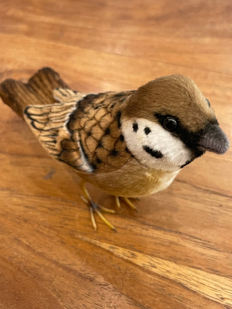 Hansa tree sparrow – mamapapa